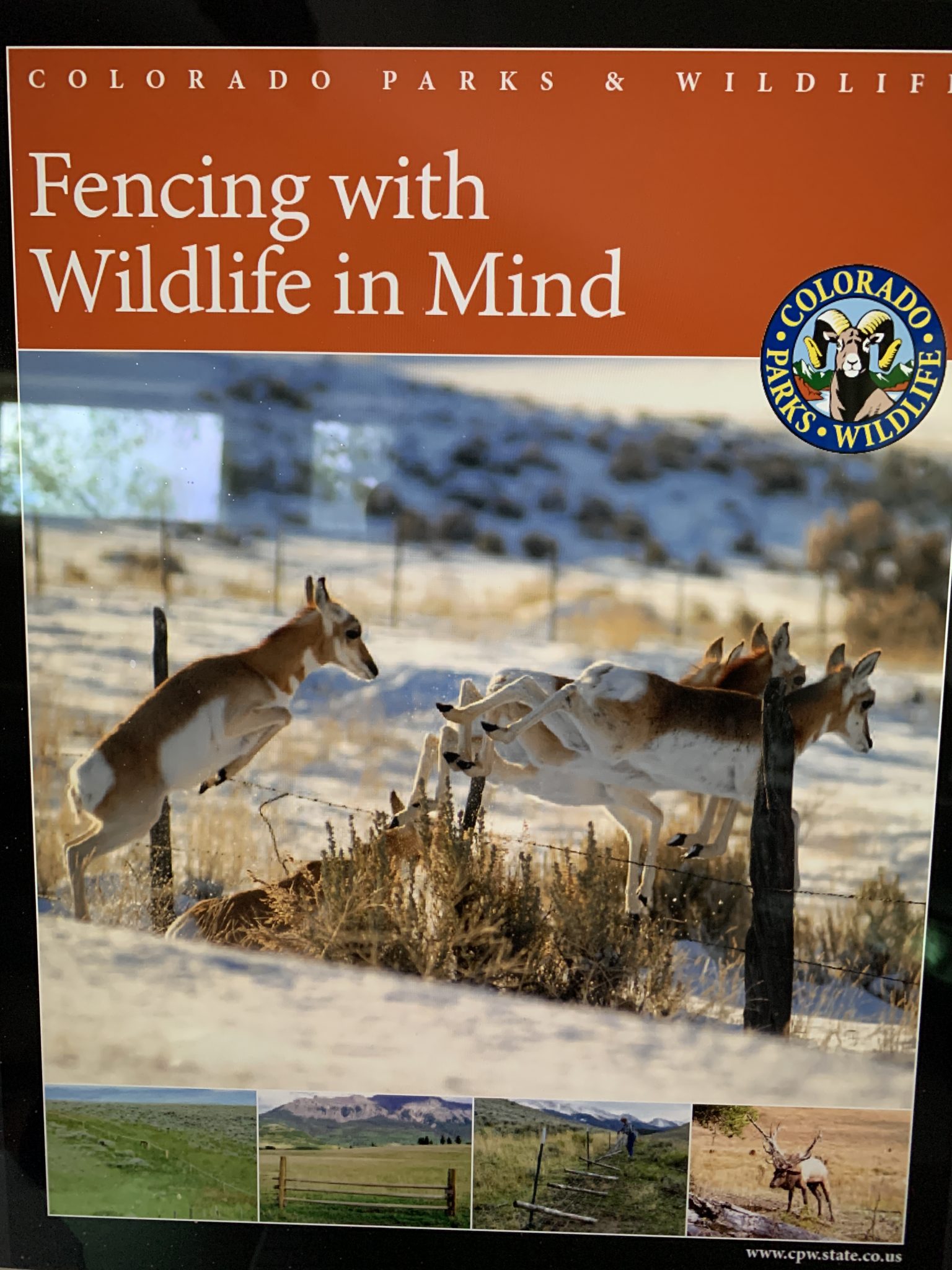 Colorado Parks and Wildlife’s “Fences and Wildlife” | Colorado Wildlife ...