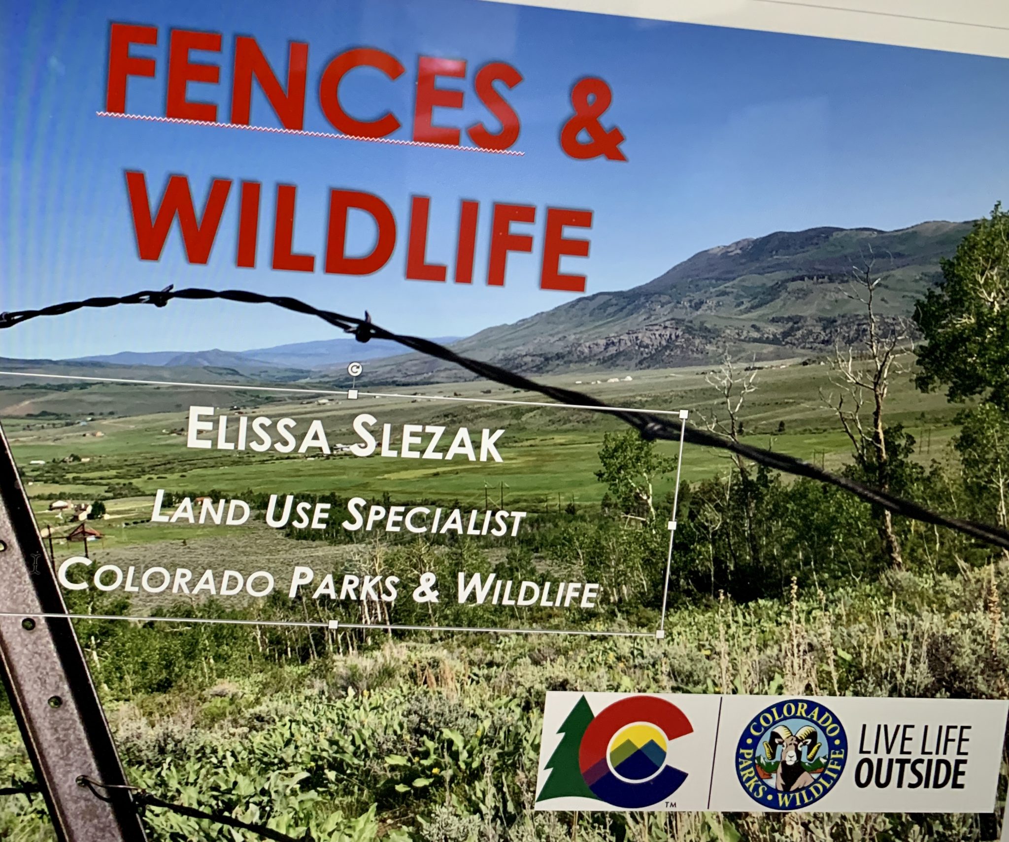 Colorado Parks and Wildlife's "Fences and Wildlife" | Colorado Wildlife ...